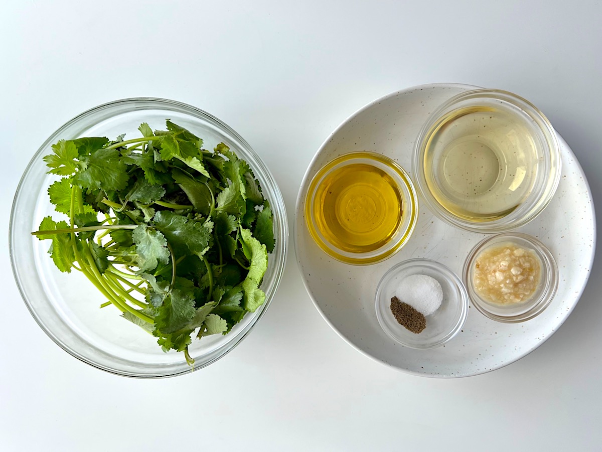 Brazilian Cilantro Chimichurri Recipe - Easy Brazilian Food