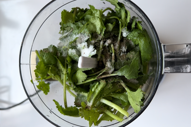 Brazilian Cilantro Chimichurri Recipe - Easy Brazilian Food